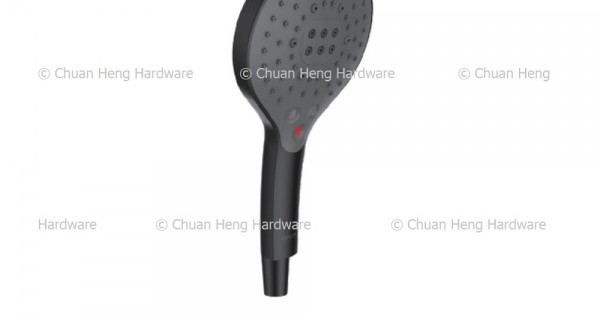 Kohler K-R24717T-MU-BL Rain Duet Multifunction Handshower with ...